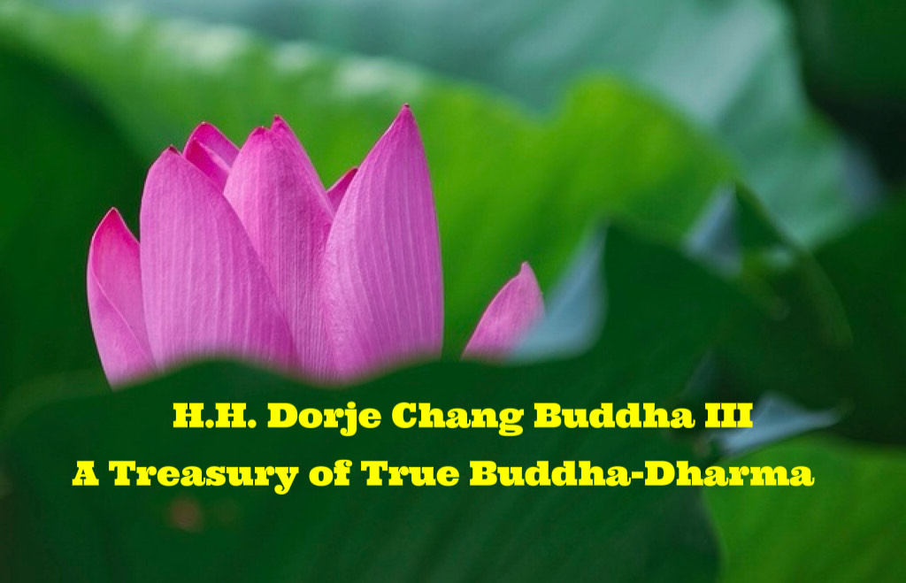 H.H. Dorje Chang Buddha III- A Treasury of True Buddha-Dharma – 頂禮 H.H ...